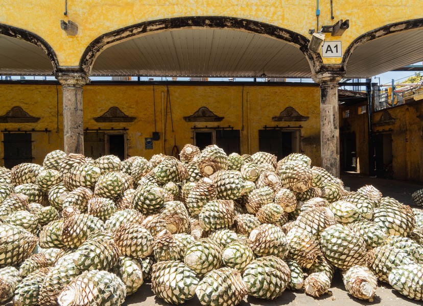 Thanks to the King of La Rojena, Mexico (1812) - Flavored Times